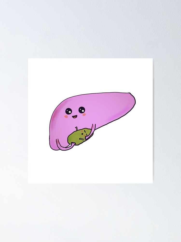 "Cute liver and gallbladder " Poster by Tamm-art | Redbubble