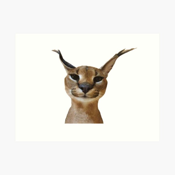 "Big Floppa Funny memes" Art Print for Sale by OKAOTA | Redbubble