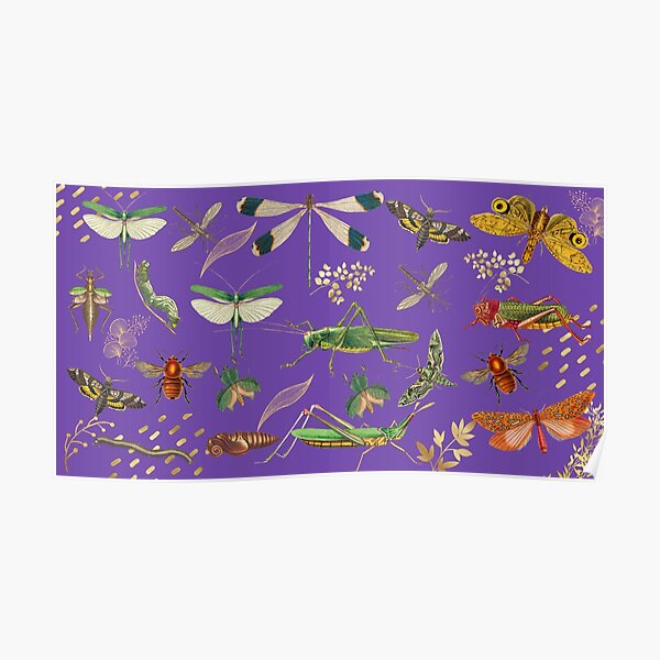 "Vintage Bugs And Insects Illustrations" Poster for Sale by ...