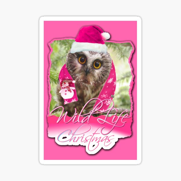 "Wild Life Series - Christmas Cute Brown Owl (The Spiritual Messenger ...