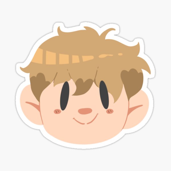 "Simplified Grian face" Sticker for Sale by StarryWho | Redbubble