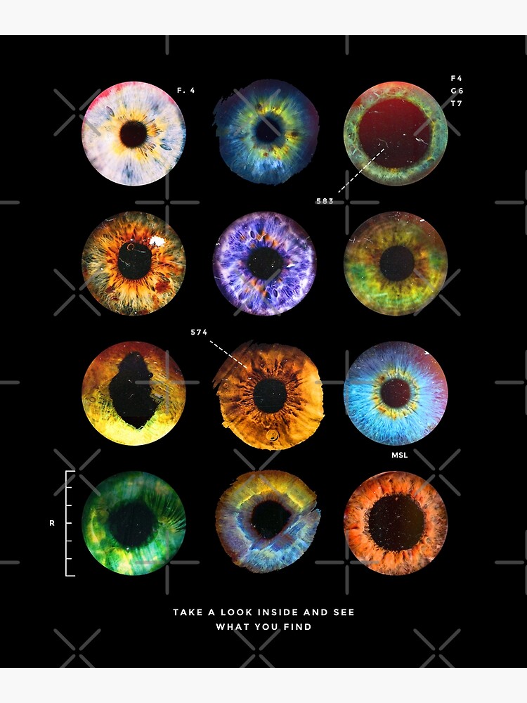 Poster « Oeil iris anatomie yeux médecine rétine humaine », par ...