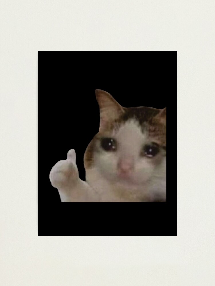 Thumbs Up Crying Cat' Memes Are About Hiding All The Pain, 52% OFF
