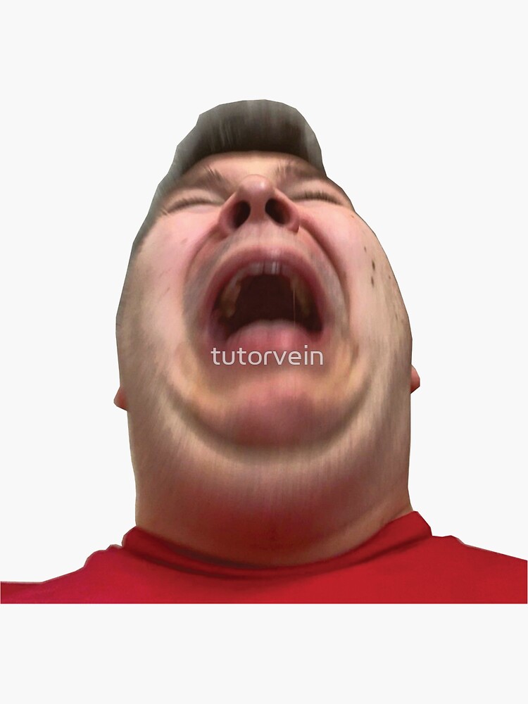 "Nikocado Avocado Meme" Sticker for Sale by tutorvein | Redbubble