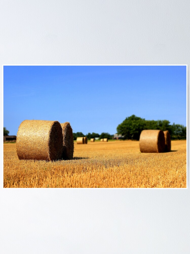 "Straw baler Sweden" Poster for Sale by johnnys-arkiv | Redbubble