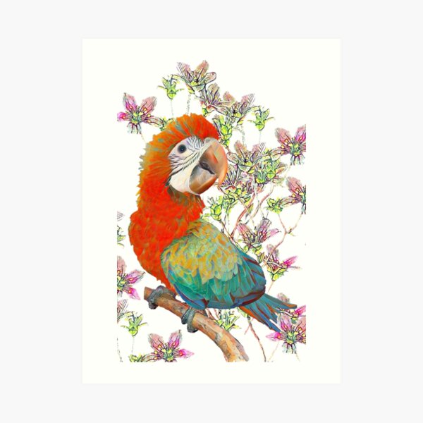 "Stunning Catalina Macaw named TRIX - part of the Rainbow Series by ...