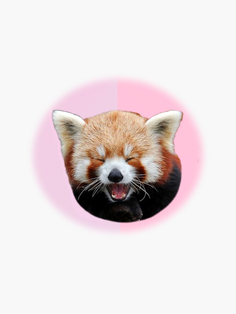 "Smiley Red Panda" Sticker for Sale by rafoca | Redbubble
