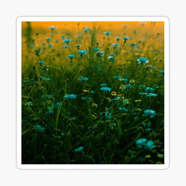 "Digital art, nature, green grass" Sticker by Collection1123 | Redbubble