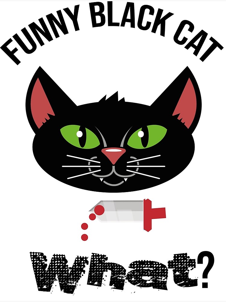 Póster «Gato ¿Qué? Gracioso gato negro - gato asesino con cuchillo» de so01 | Redbubble