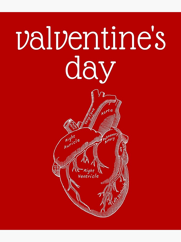 "VALVEntine's Day Funny Science, Anatomy Joke for Valentine's Day ...