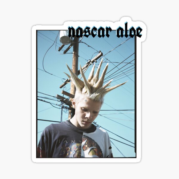 "Picture hair style Nascar Aloe rapper" Sticker by Araujo1167 | Redbubble