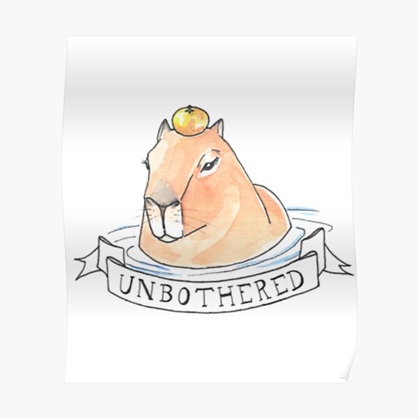 "Unbothered Capybara " Poster for Sale by Boitaumane | Redbubble