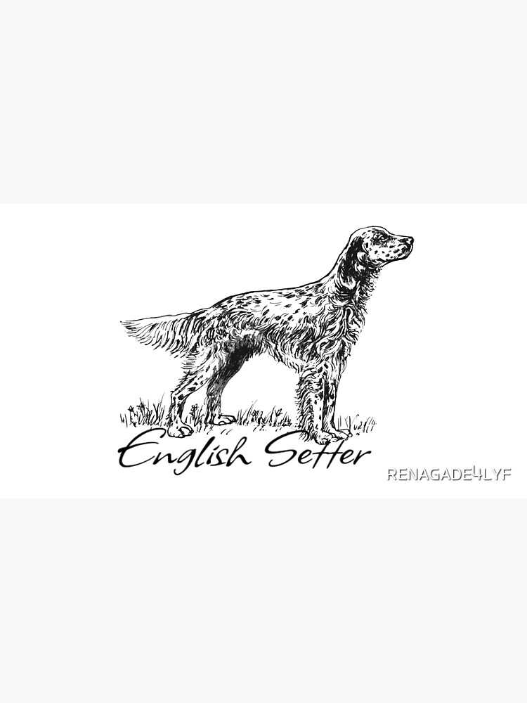 English Setter Logo What's The Difference Between Llewellin Setters
