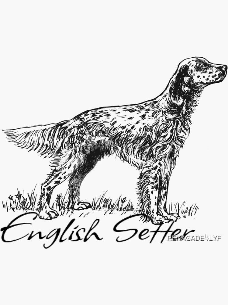 "ENGLISH SETTER - logo" Sticker for Sale by RENAGADE4LYF | Redbubble