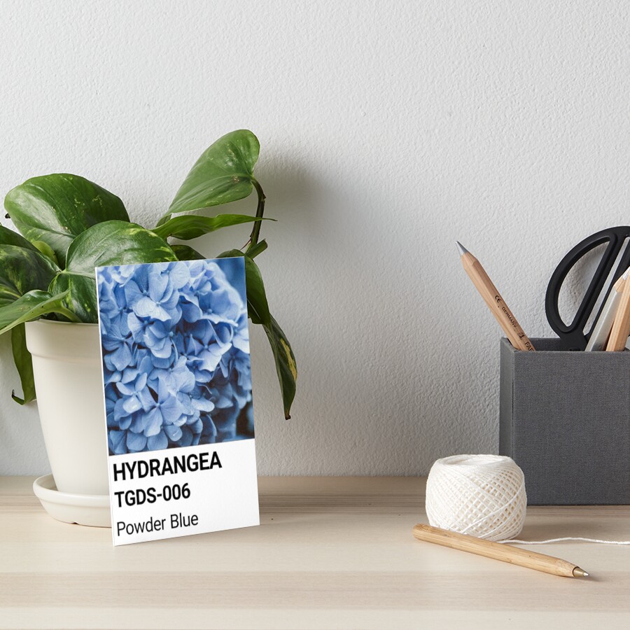 "Pantone Color Of The Year hydrangea." Art Board Print by DarrylAmber ...