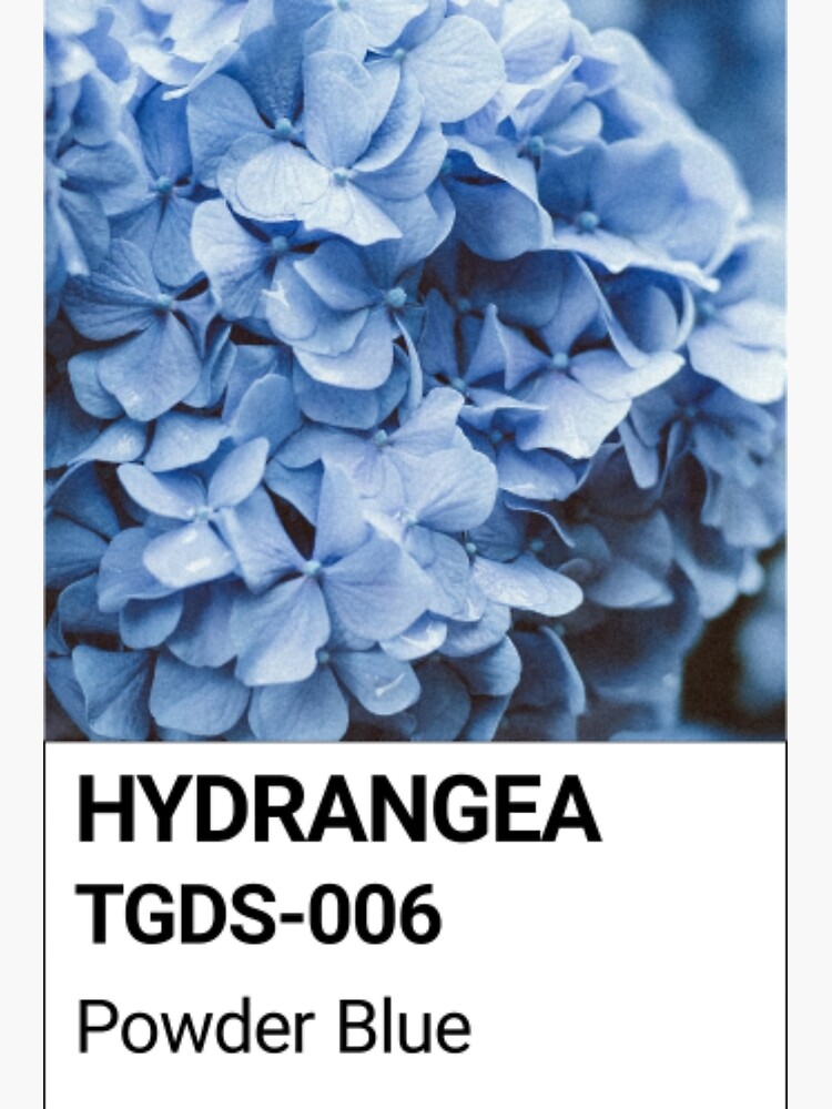 "Pantone Color Of The Year hydrangea." Poster for Sale by DarrylAmber ...