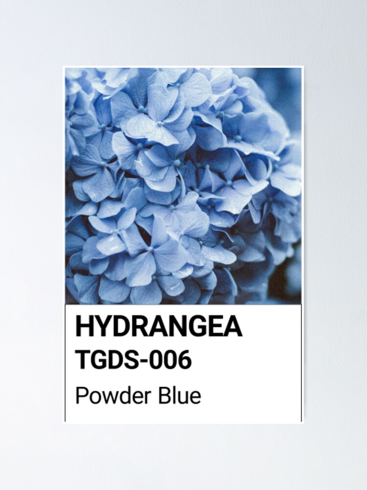 "Pantone Color Of The Year hydrangea." Poster for Sale by DarrylAmber ...