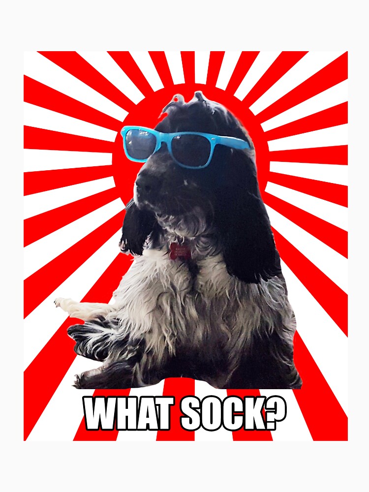 "Punk Dog - What Sock?" Pullover Hoodie for Sale by khanzie | Redbubble