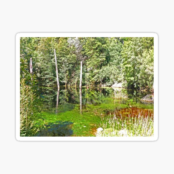 "Tarkine Sinkhole" Sticker by grmahyde | Redbubble
