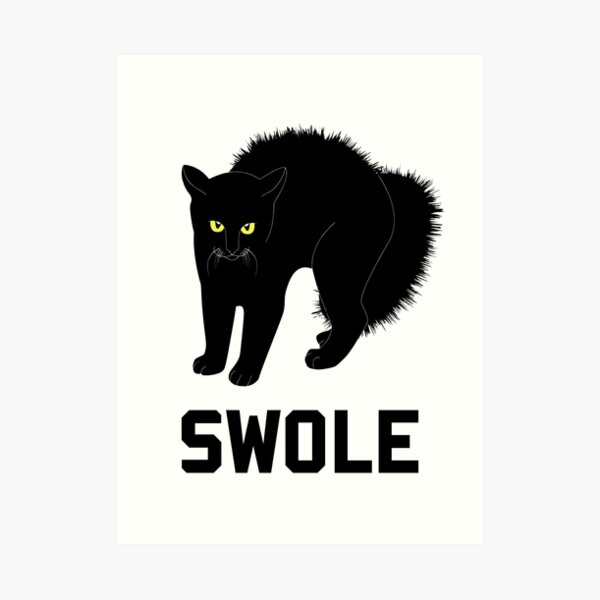 "Swole Cat is Kitten Swole" Art Print by TheShirtYurt | Redbubble