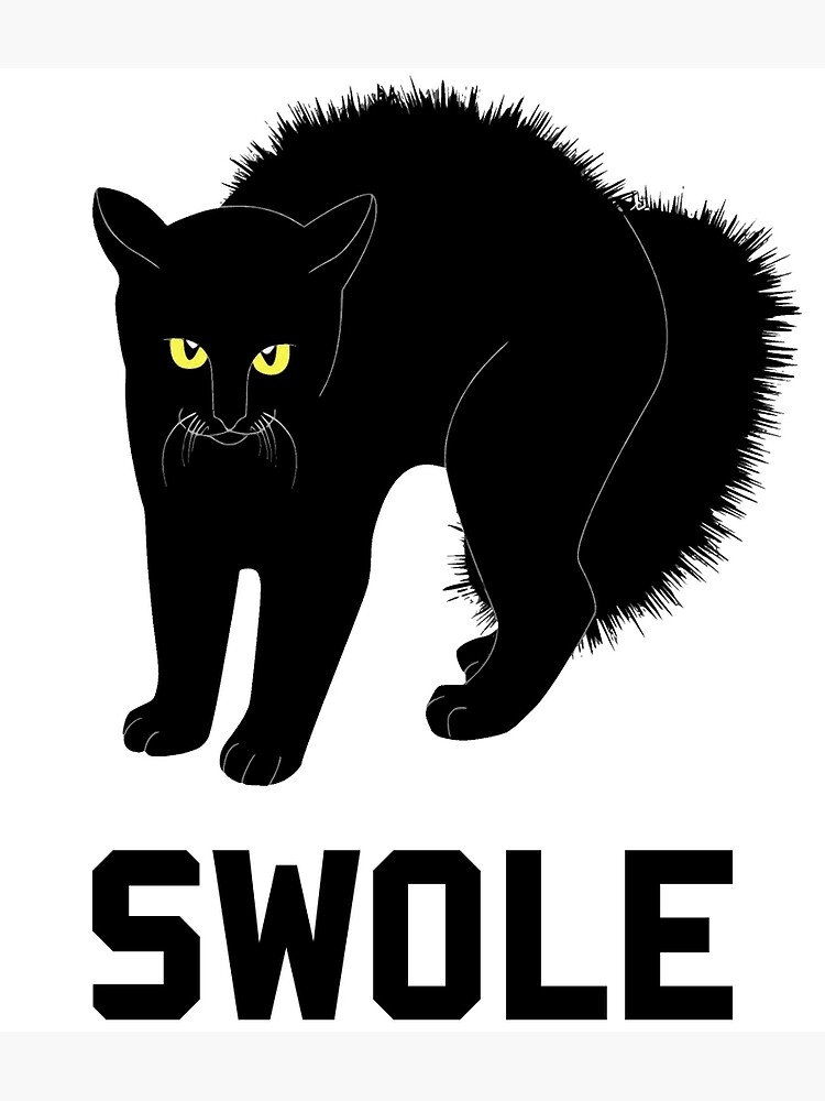 "Swole Cat is Kitten Swole" Art Print by TheShirtYurt | Redbubble