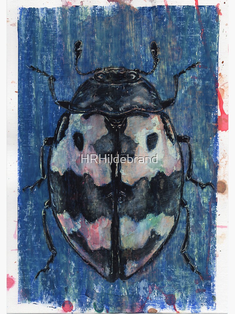 "Beetle, potentially Gregor Samsa post-metamorphosis - Hand Drawn Oil ...