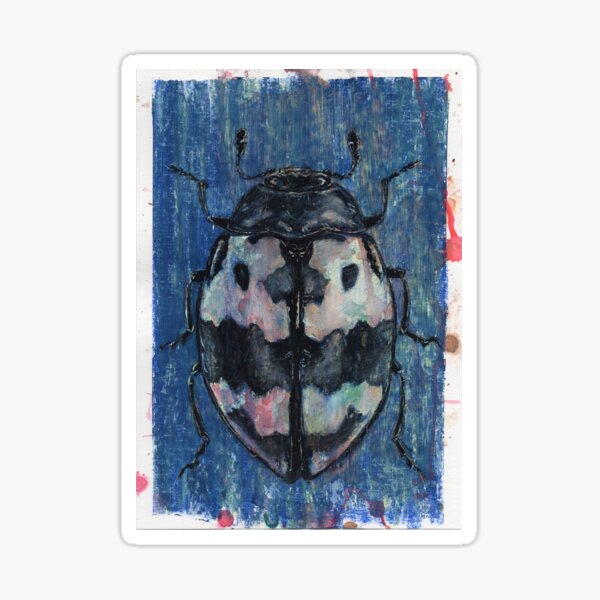 "Beetle, potentially Gregor Samsa post-metamorphosis - Hand Drawn Oil ...