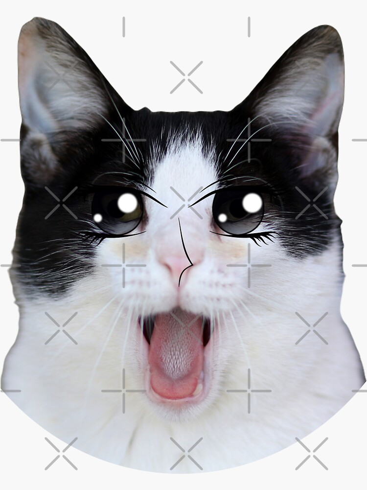 Pegatina «Beluga Discord - Imagen de Beluga Kawaii» de DiensDesign ...