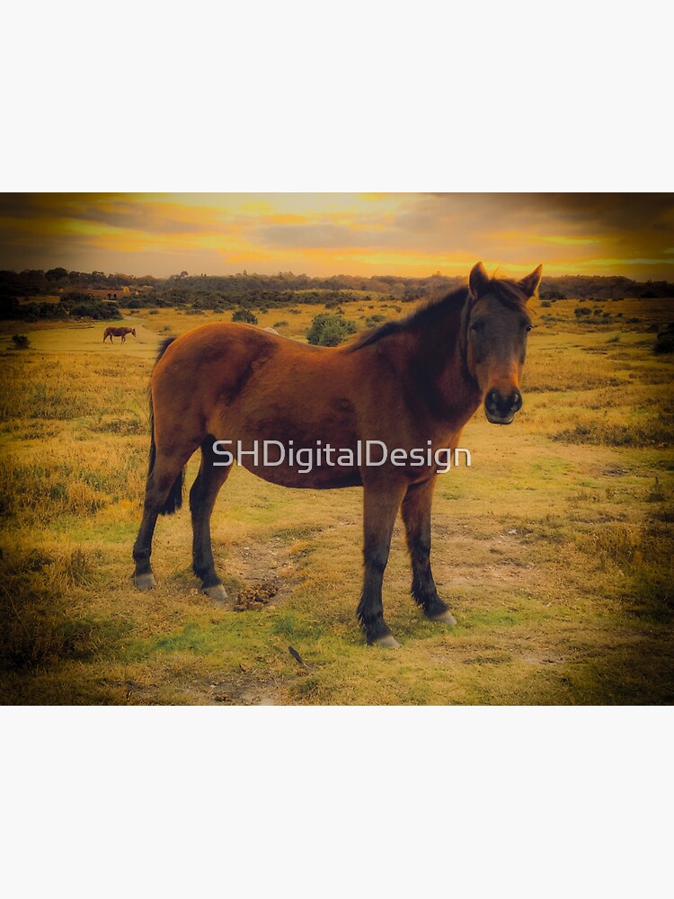 "Burley Horse" Sticker by SHDigitalDesign | Redbubble