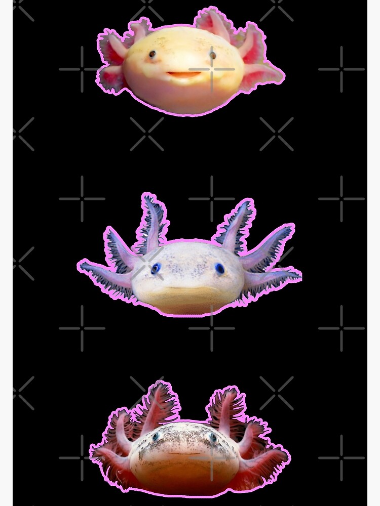 "Meme Axolotls " Poster for Sale by lazarosdesign | Redbubble