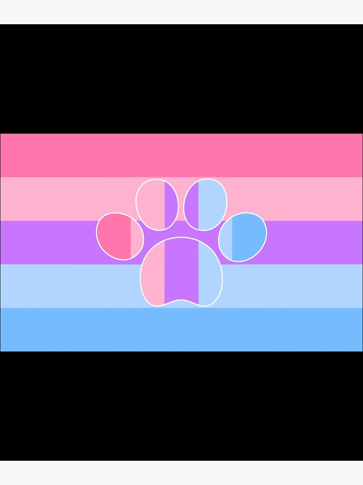 "Catgender Xenogender- LGBT Catgender Flag Cat Logo Rainbow Paw ...