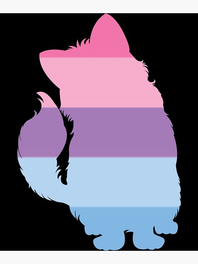 "catgender, catgender kitties, lgbt, cat, kitty, lgbtq, pride ...