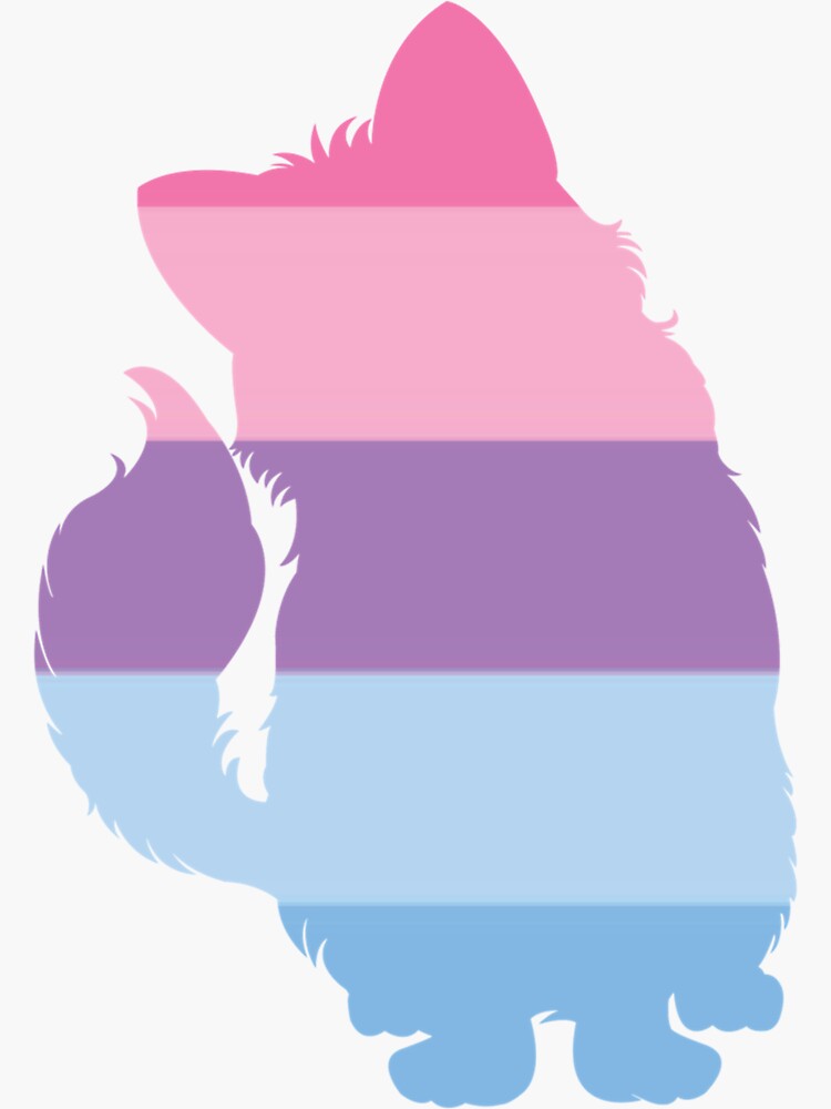 "catgender, catgender kitties, lgbt, cat, kitty, lgbtq, pride ...