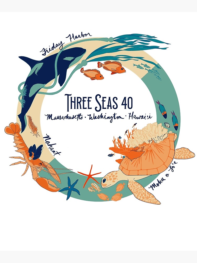 "Three Seas 40 - Logo!" Poster by orchidial | Redbubble