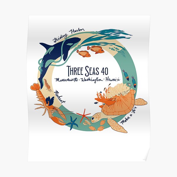 "Three Seas 40 - Logo!" Poster by orchidial | Redbubble