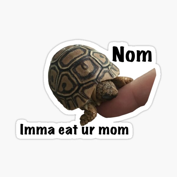 "Turtle funny meme" Sticker for Sale by noahwastakenlol | Redbubble
