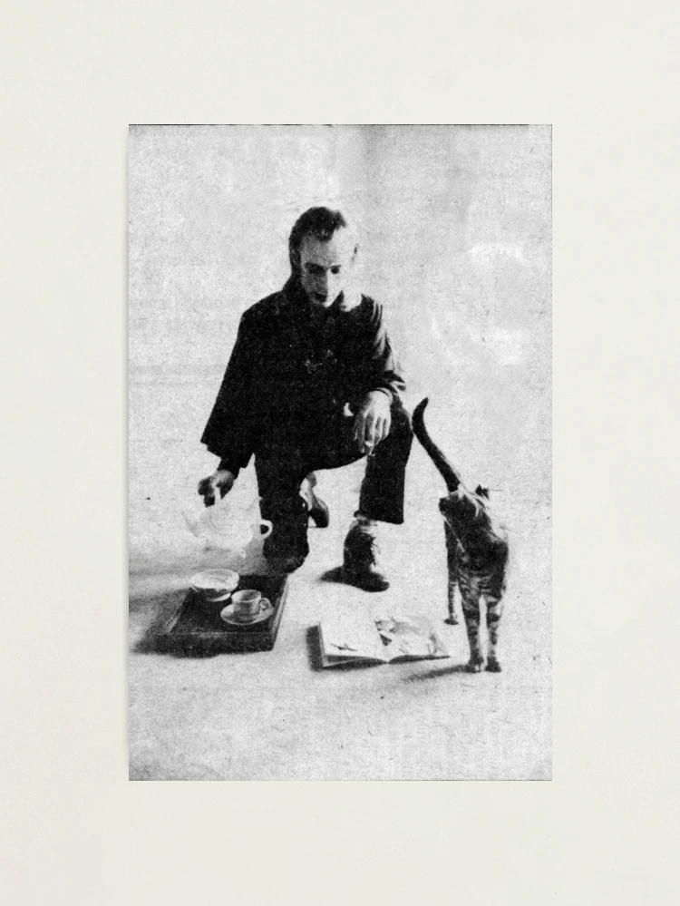 Brian Eno Cat Memes Yugnat999 Publishes Some 150 Memes A Week On