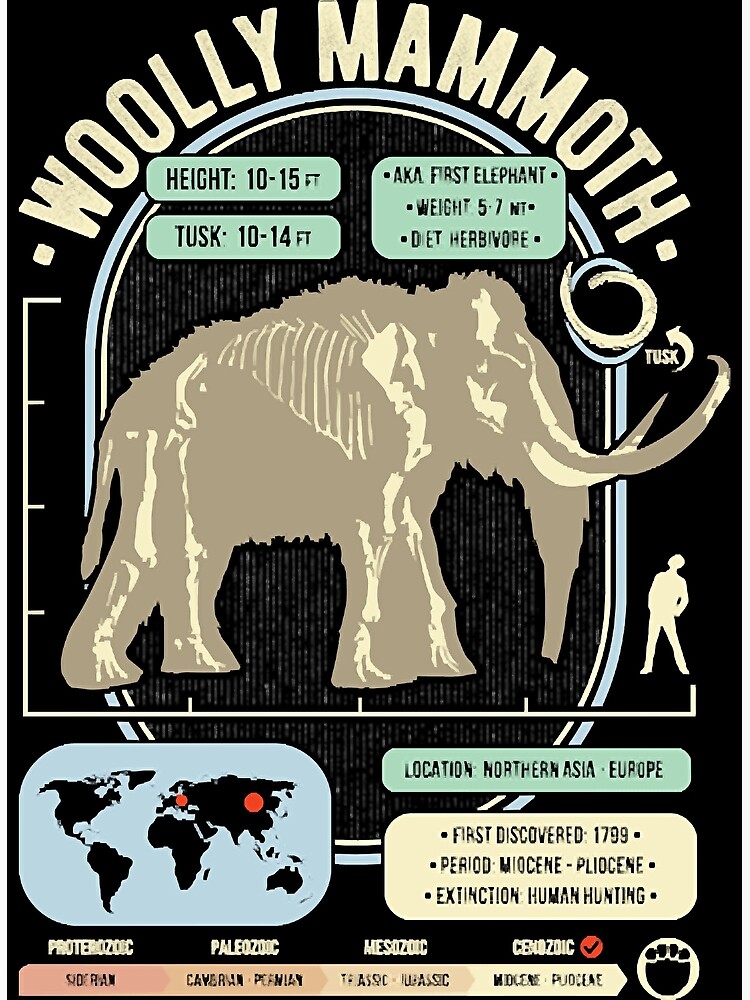 Póster «Datos sobre dinosaurios: regalo de ciencia y anatomía del mamut ...
