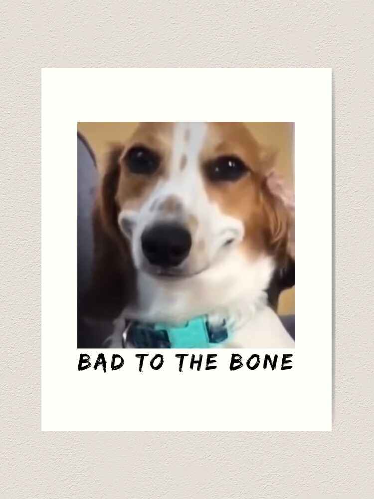Beagle Dog Memes Beagle With A Deagle : R/memes