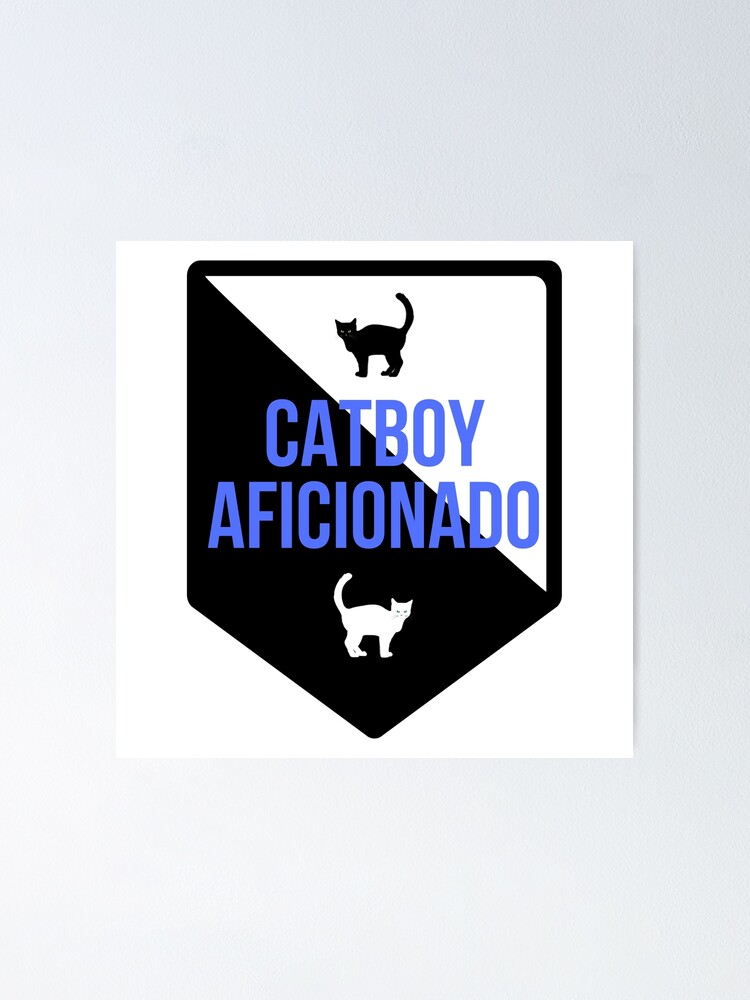 "Kpop Merit Badge - Catboy Aficionado" Poster for Sale by ravensquid ...