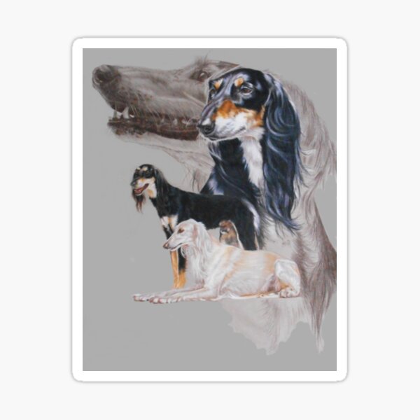 "Saluki Revamp" Sticker by BarbBarcikKeith | Redbubble
