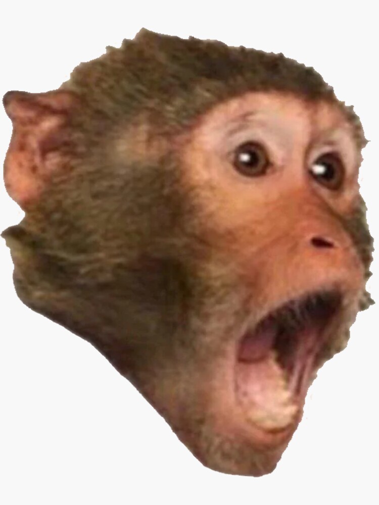 "Monkey Pog" Sticker for Sale by txmatt0408 | Redbubble