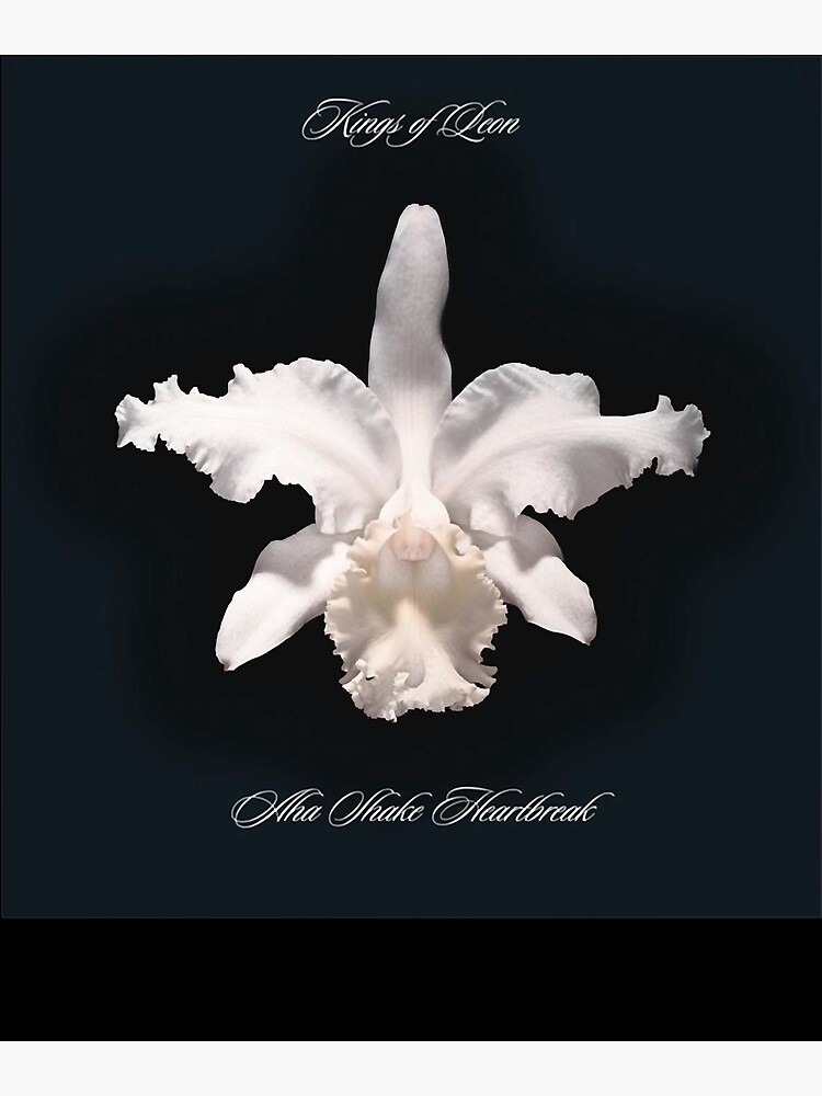 "Kings of Leon - Aha Shake Classic" Poster for Sale by goldielopez ...