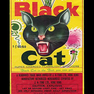 "Black Cat Firecrackers" Poster for Sale by ToBicouple | Redbubble