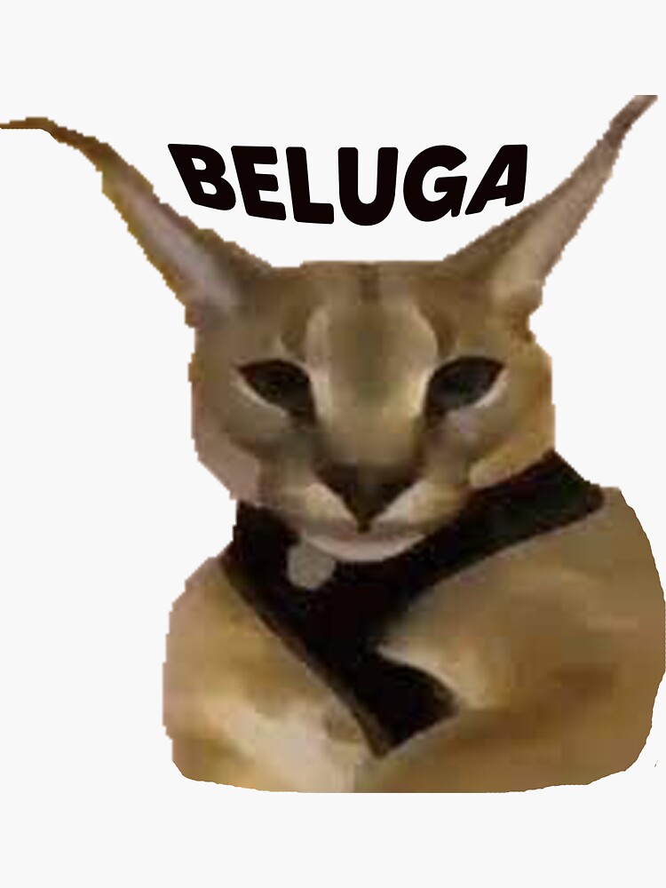Pegatina «beluga cat discord pfp camiseta esencial» de YOUR-NEW-VISION ...