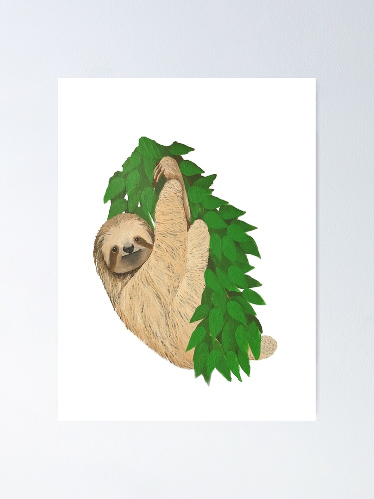 "Hand painted Sloth" Poster for Sale by Pawsandpetals | Redbubble