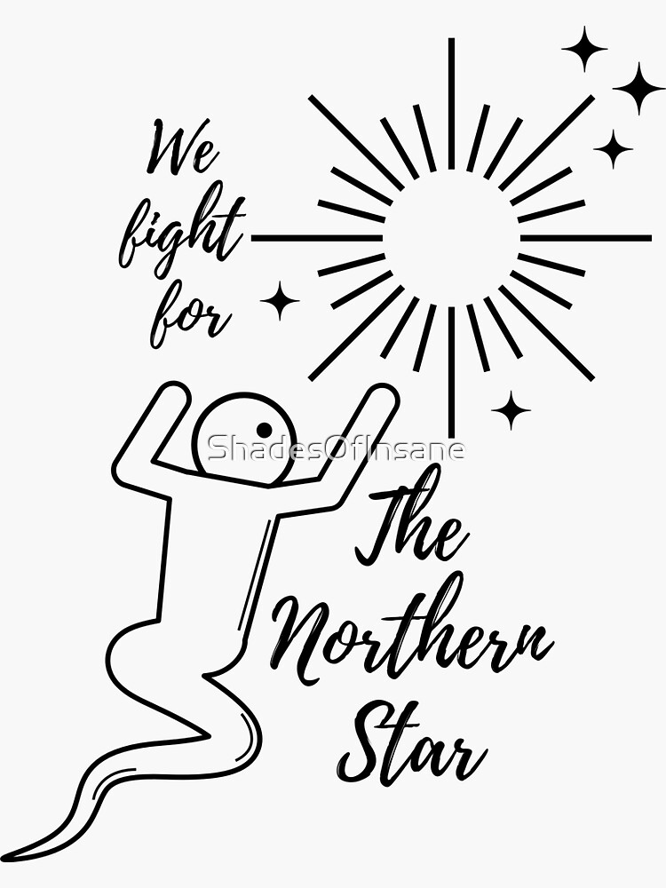 "We fight for the northern star (searching for direction in life ...