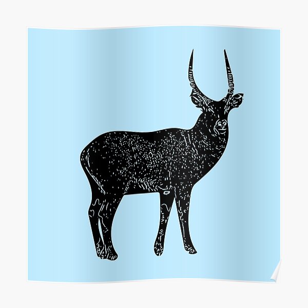 "Waterbuck Black Design" Poster for Sale by designsasstultd | Redbubble