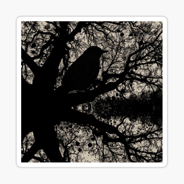 "Bird Shadow reflection black art-bird in a cage " Sticker for Sale by ...