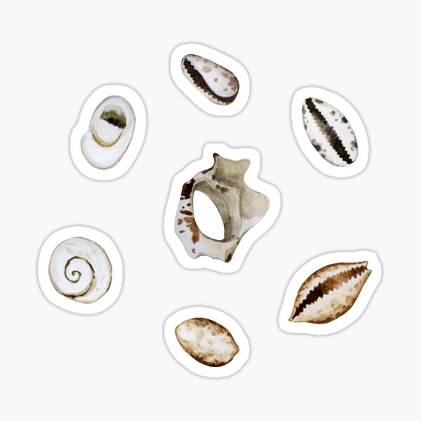 "Collection of small watercolor seashells " Sticker for Sale by ...